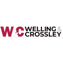 Welling & Crossley Portable Generators - White International
