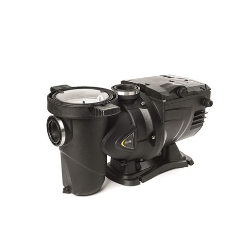 Pool Pumps | Suitable for Salt Water | Energy Saving Swimming Pool Pump ...